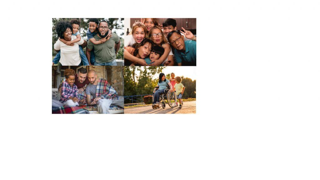 Exploring the unique diversity of ‘family’